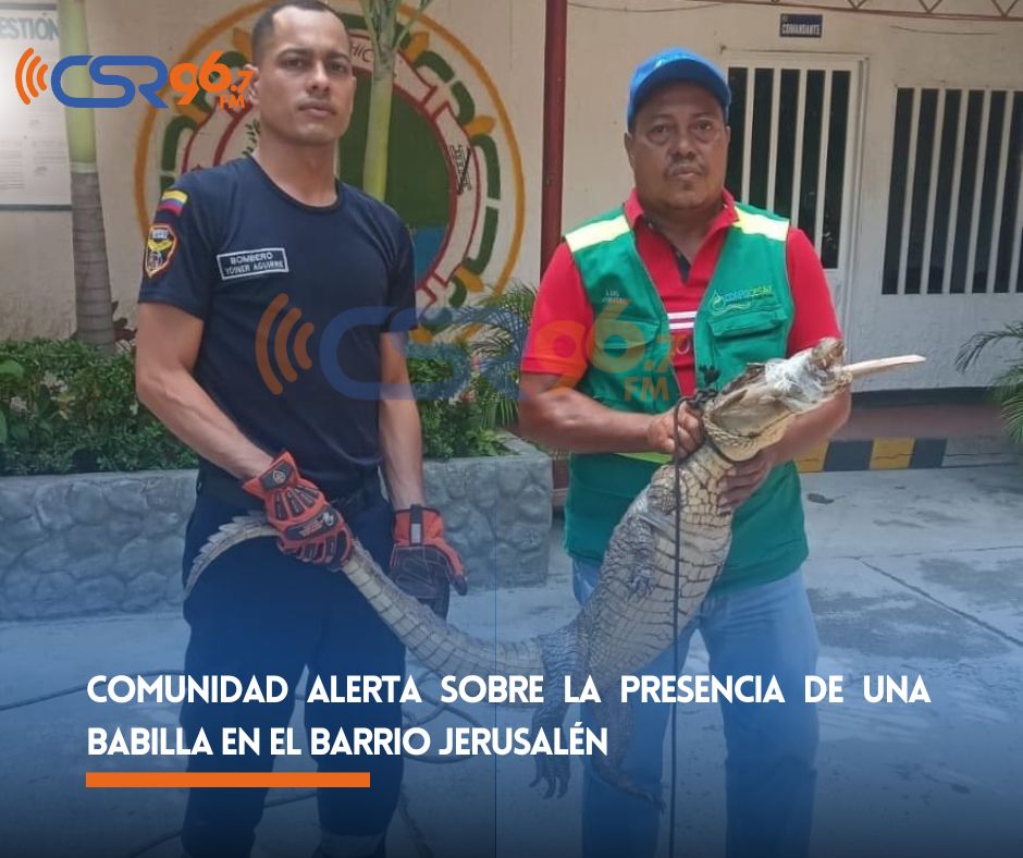 COMUNIDAD ALERTA SOBRE LA PRESENCIA DE UNA BABILLA EN EL BARRIO JERUSALÉN